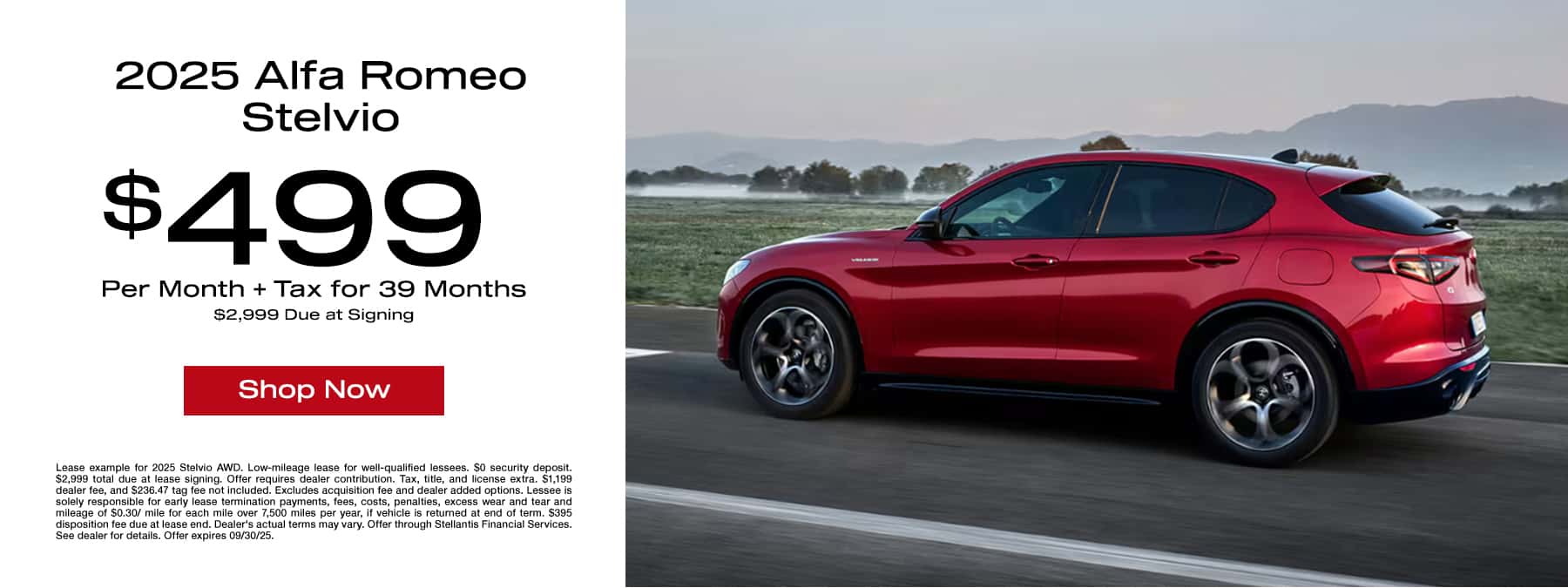 Alfa Romeo Dealer Tampa, St Petersburg FL | Alfa Romeo St. Petersburg