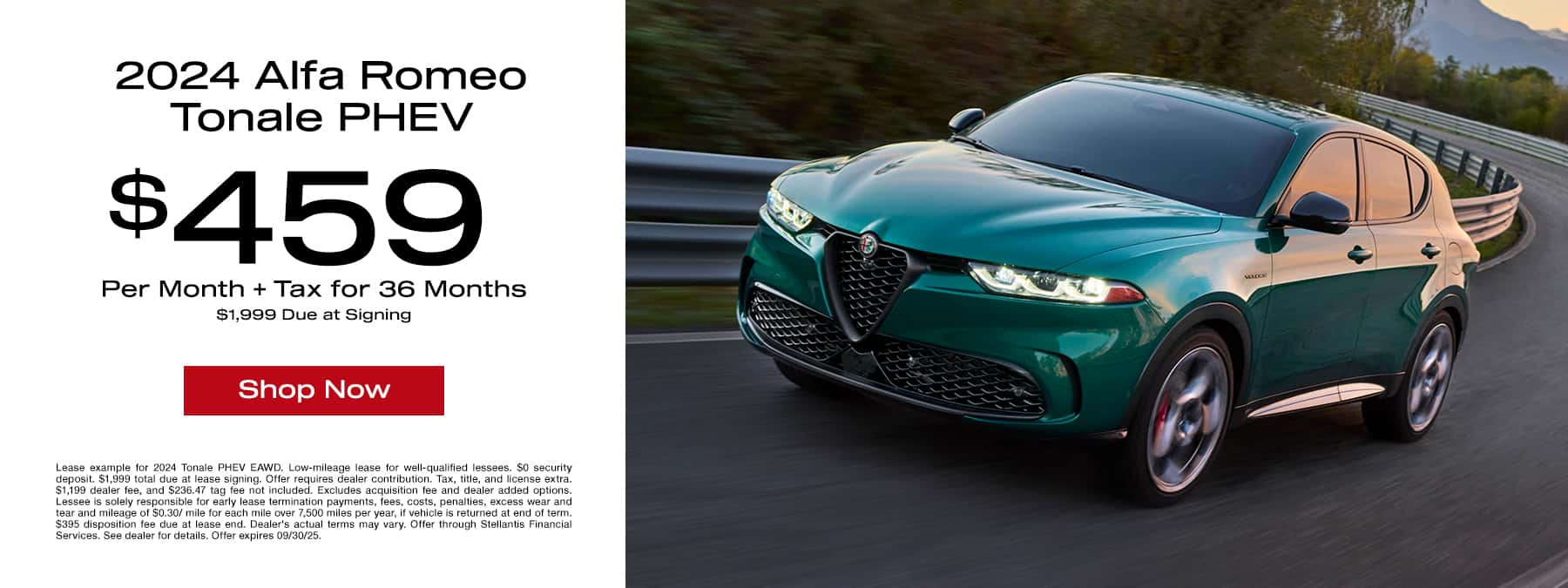 Alfa Romeo Dealer Tampa, St Petersburg FL | Alfa Romeo St. Petersburg