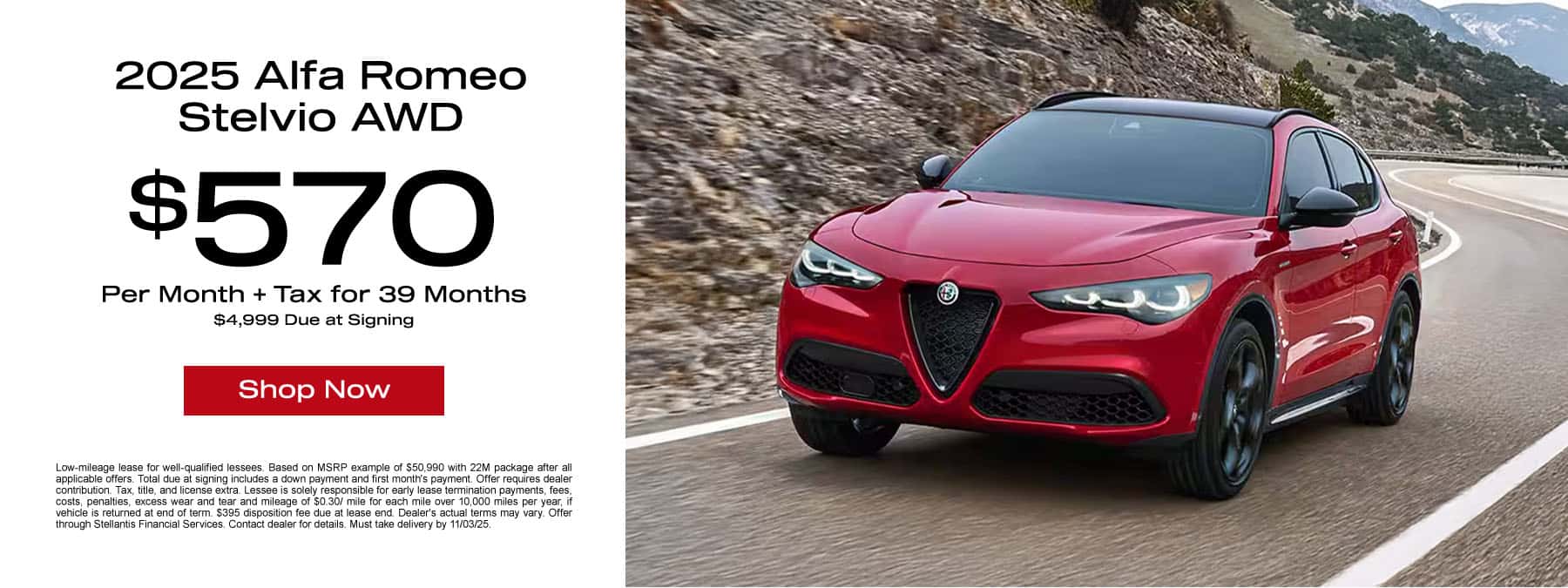 Alfa Romeo Dealer Tampa, St Petersburg FL | Alfa Romeo St. Petersburg