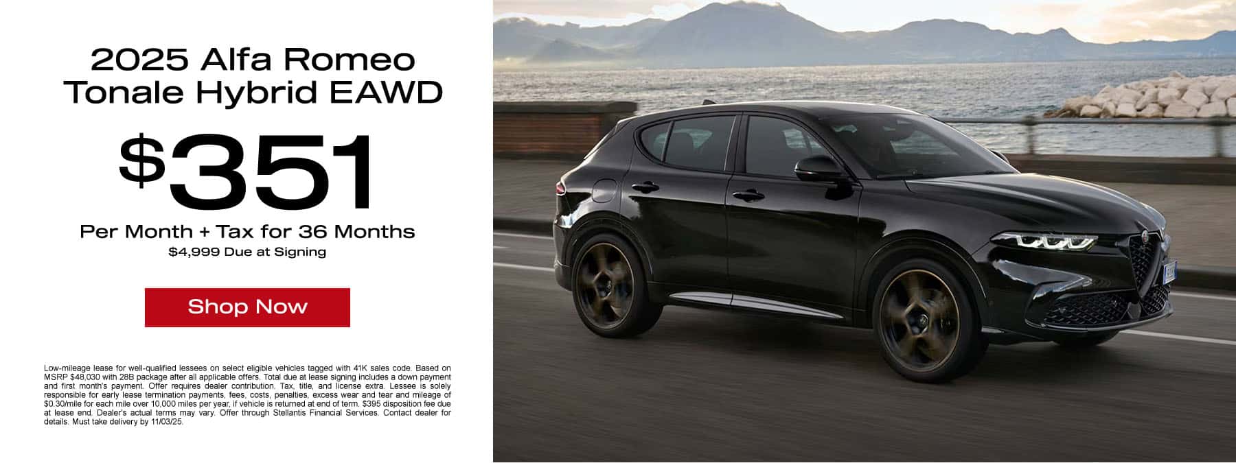 Alfa Romeo Dealer Tampa, St Petersburg FL | Alfa Romeo St. Petersburg