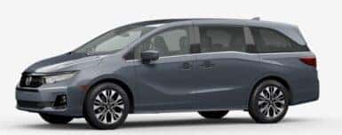 2025 Honda Odyssey Color Options w/Photos