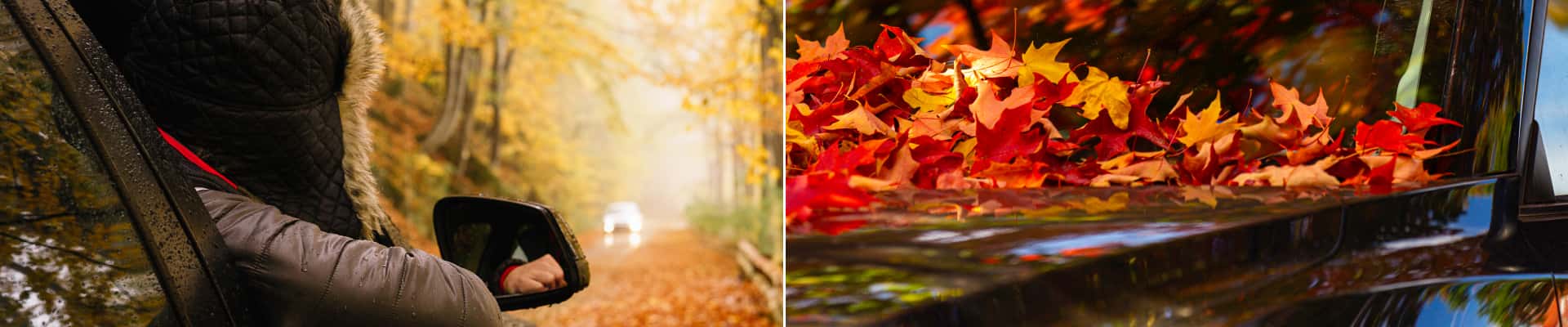 Fall Car Maintenance Tips