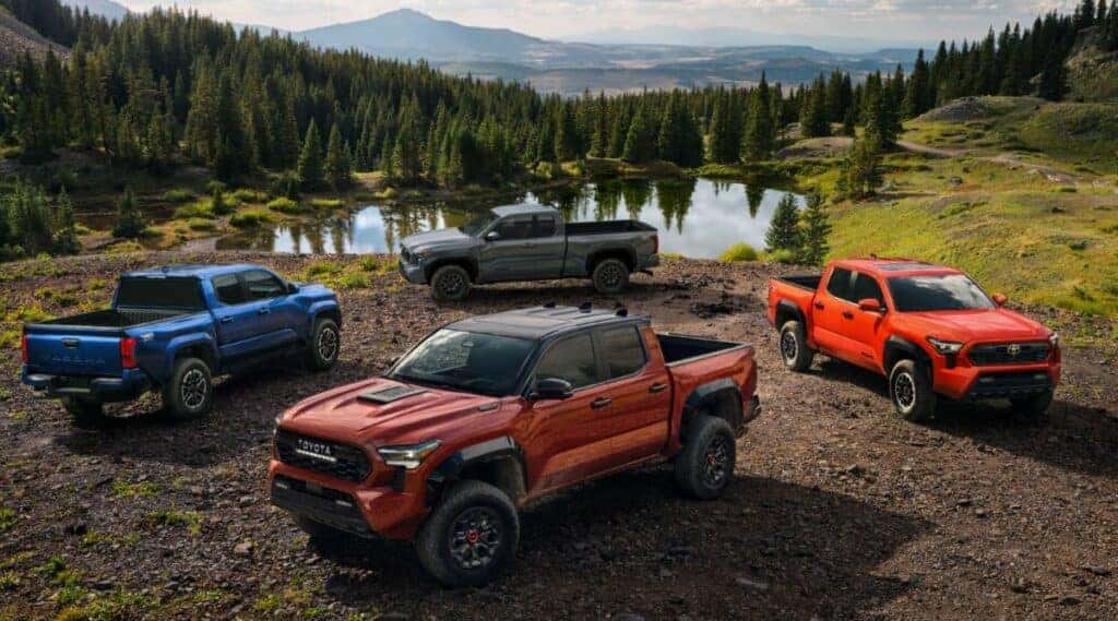 Toyota Tacoma Colors 2024
