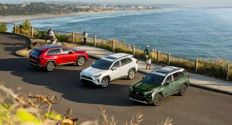 2024 Toyota RAV4 Color Options with Photos