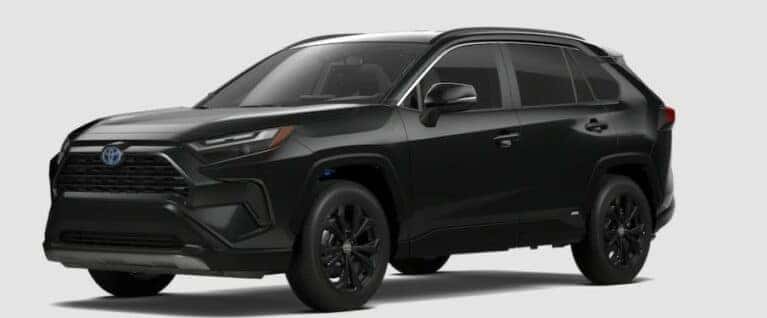 2024 Toyota RAV4 Color Options with Photos