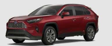 2024 Toyota RAV4 Color Options with Photos