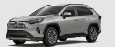 2024 Toyota RAV4 Color Options with Photos