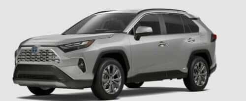 2024 Toyota RAV4 Color Options with Photos