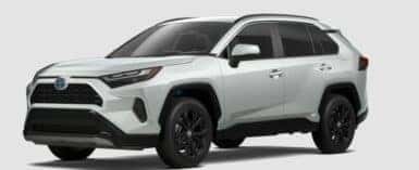 2024 Toyota RAV4 Color Options with Photos