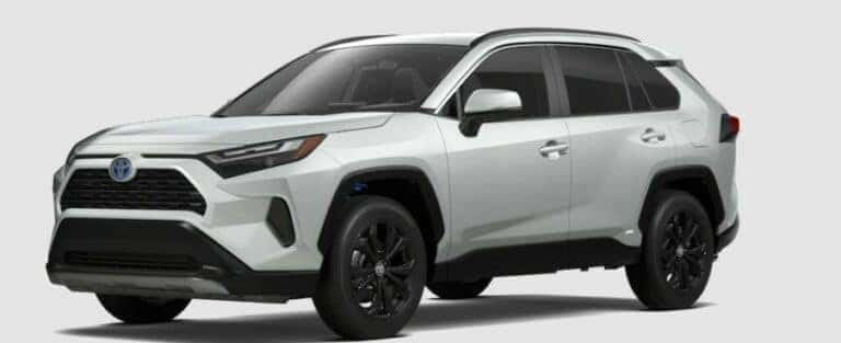2024 Toyota RAV4 Color Options with Photos