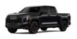 2025 Toyota Tundra Color Options with Photos